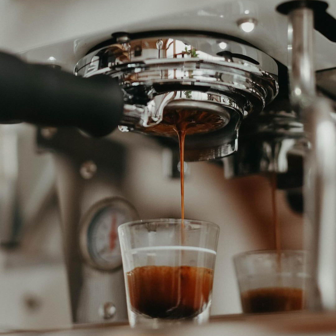 12 Meter Espresso Whole-Bean Coffee | Downeast Coffee Roasters
